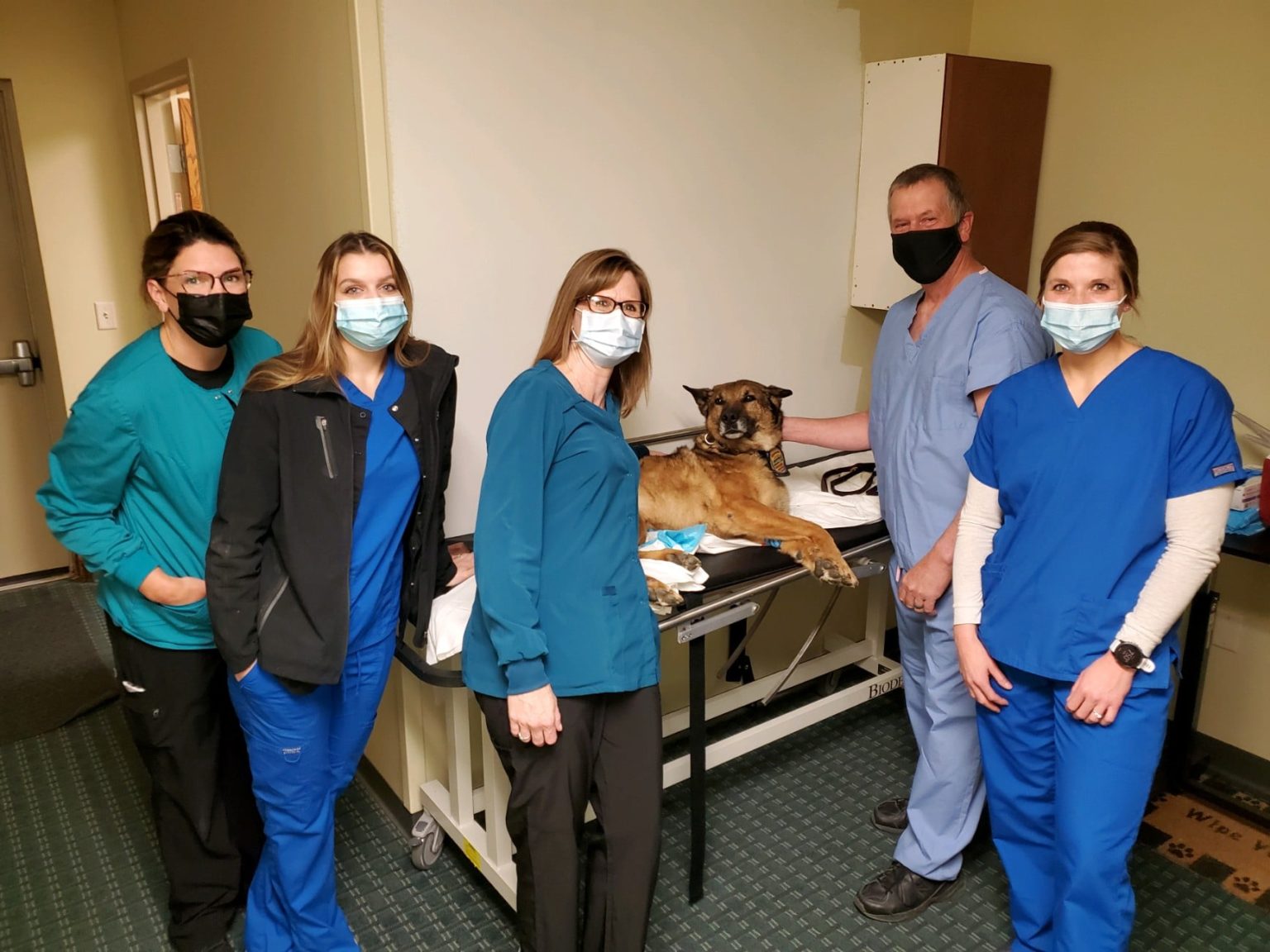 Den Herder Veterinary Hospital | Home